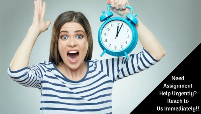 Need Assignment Help Urgently | Assignment Prime
