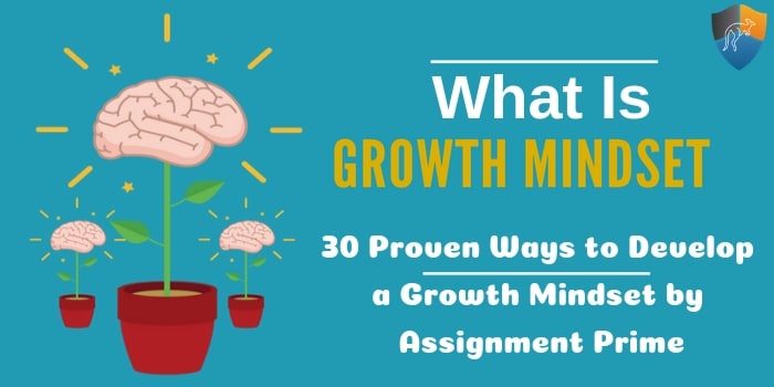 30 Tips : How to Develop Growth Mindset | Assignment Prime